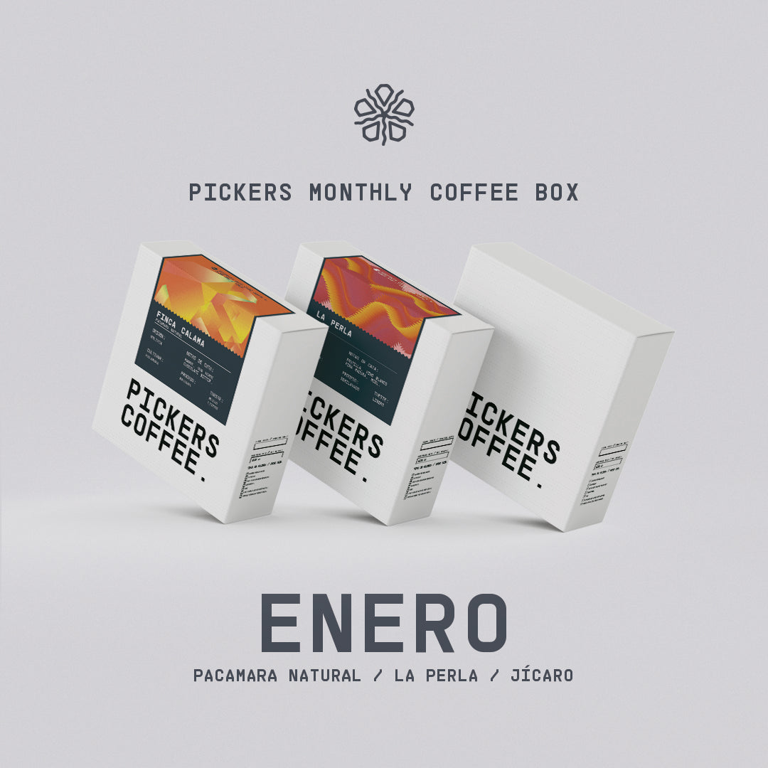 Pickers Monthly Coffee Box – Roasters & Brewers